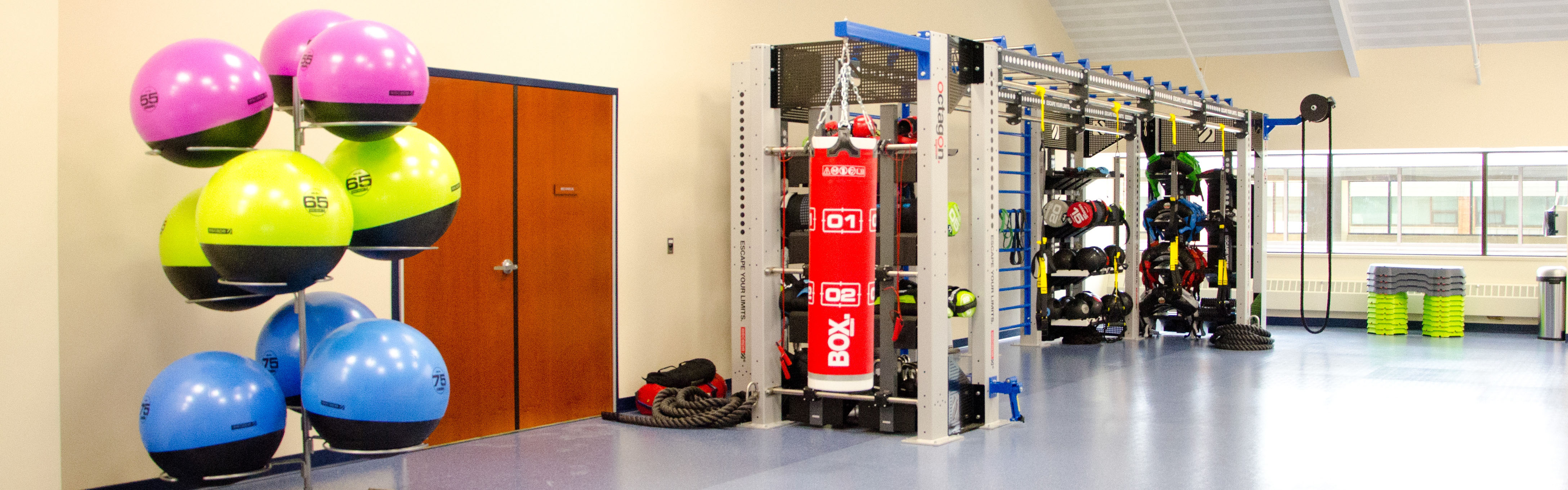 Sports Performance | The Clark Sports Center