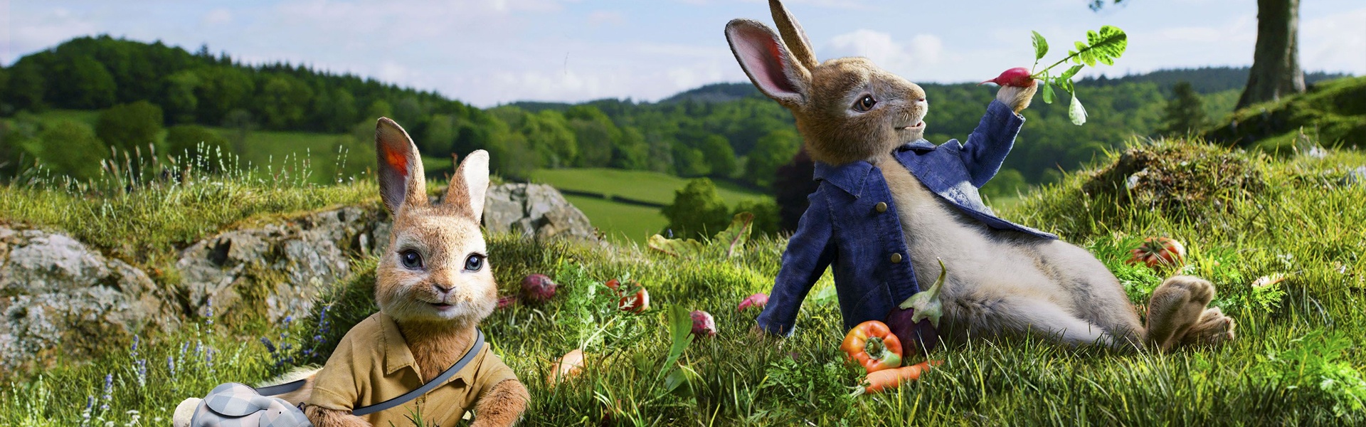 The Clark Sports Center – Cooperstown, New York