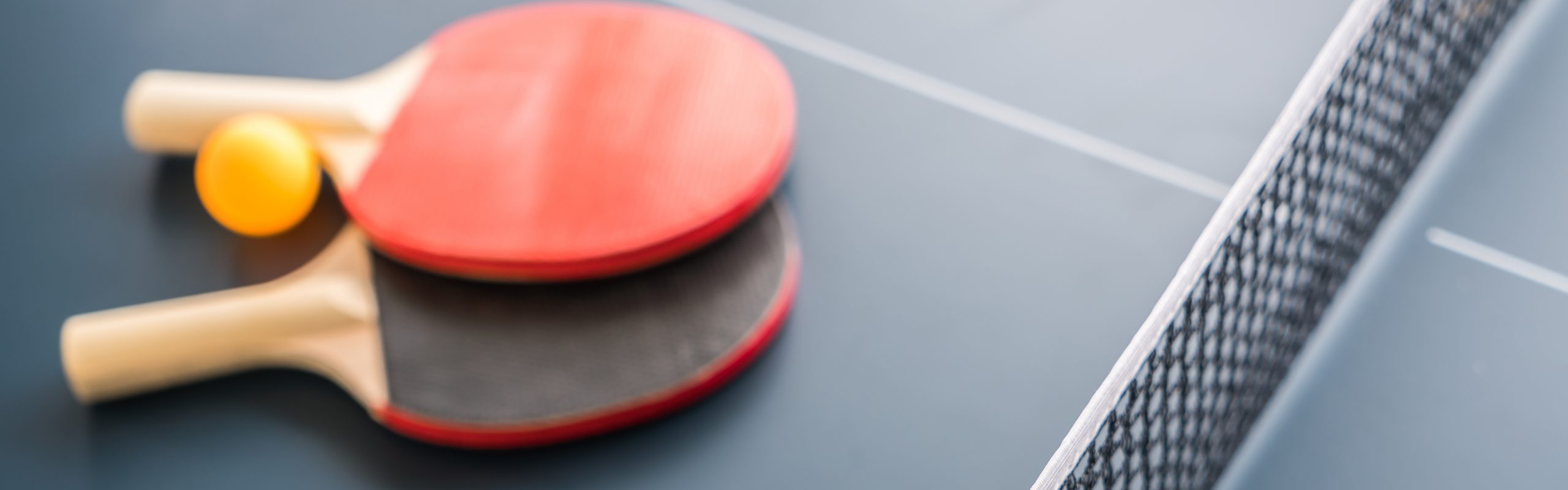 Ping Pong Rules & Guidelines | The Clark Sports Center